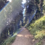 Burroughs Mountain Loop Trail, Washington - 2,223 Reviews, Map | AllTrails