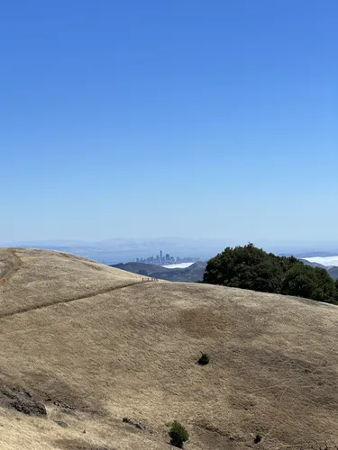 2023 Best Lake Trails in Mill Valley | AllTrails