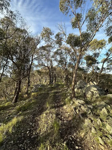 Best Camping Trails in Heathcote Graytown National Park | AllTrails