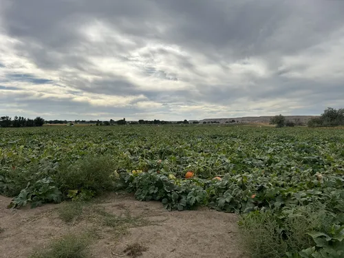 Best Hikes and Trails in Thousand Springs State Park | AllTrails