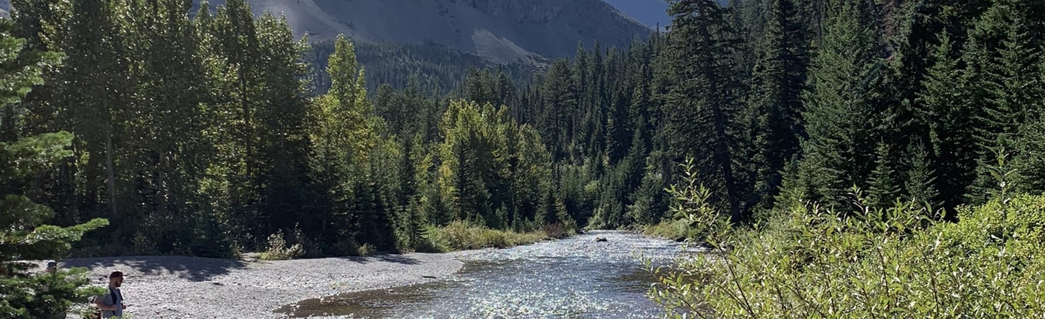 Running Eagle Falls, Montana - 774 Reviews, Map | AllTrails