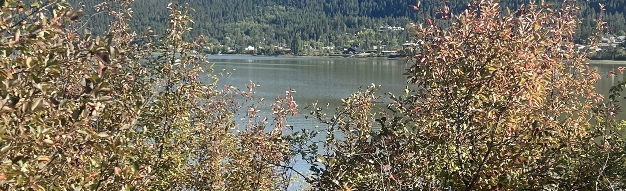 Scout Island Williams Lake: 31 Reviews, Map - British Columbia, Canada ...