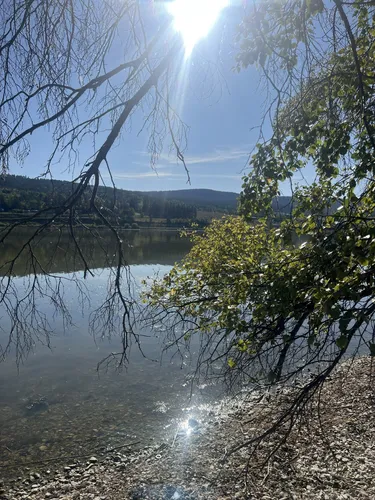 Best Hikes and Trails in Scout Island Nature Centre | AllTrails