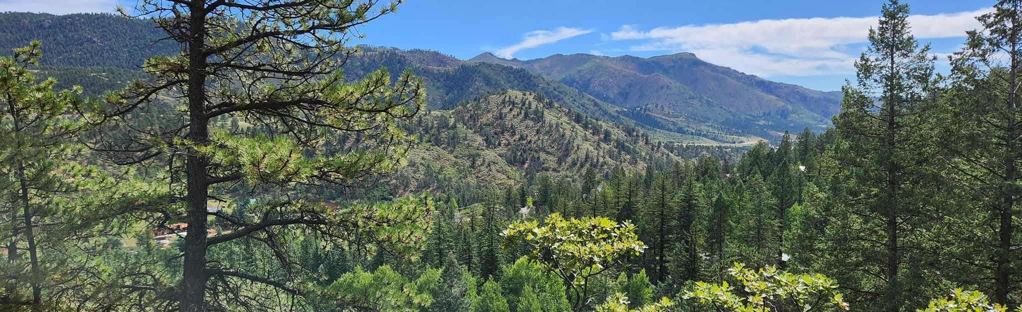 Thomas Trail Loop, Colorado - 968 Reviews, Map | AllTrails
