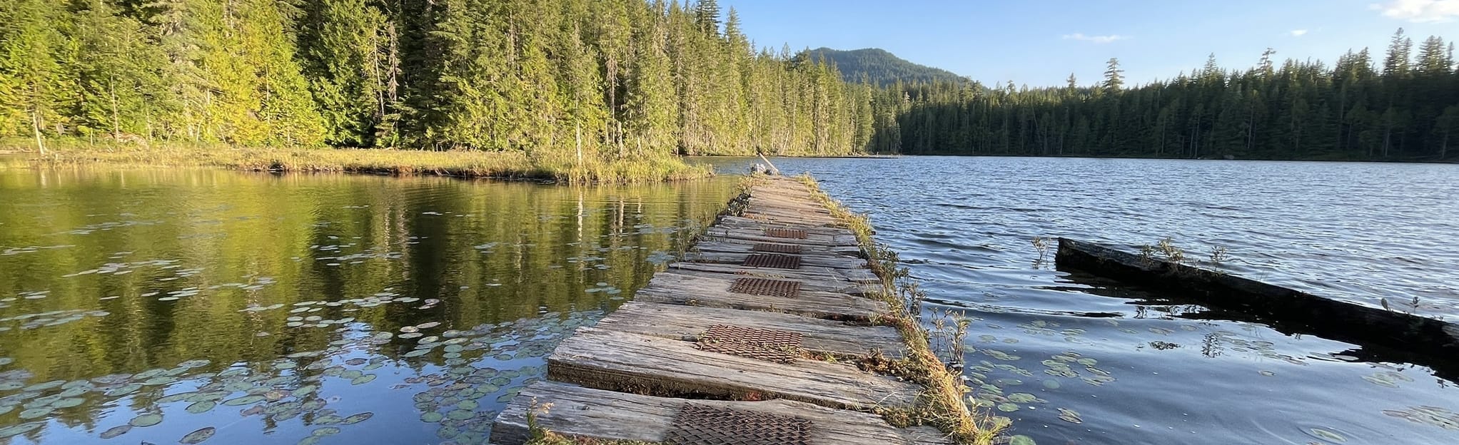 Powell Forest Canoe Route, British Columbia, Canada - 5 Reviews, Map ...