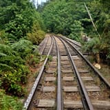 Wesley Ridge, British Columbia, Canada - 716 Reviews, Map | AllTrails