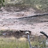 Storm Point Loop, Montana - 915 Reviews, Map | AllTrails