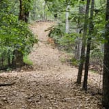Turkey Bay OHV Trail, Kentucky - 71 Reviews, Map | AllTrails