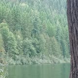 Upper Priest Lake Navigation Trail, Idaho - 251 Reviews, Map | AllTrails