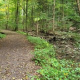 Tinker Falls Trail, New York - 552 Reviews, Map | AllTrails