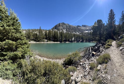 10 Best Hikes and Trails in Great Basin National Park | AllTrails