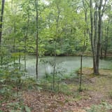 Indian Point Trail, Illinois - 1,497 Reviews, Map | AllTrails