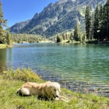 Officers Gulch, Colorado - 674 Reviews, Map | AllTrails