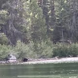 Phelps Lake, Lake Creek, and Woodland Loop, Wyoming - 2,798 Reviews ...