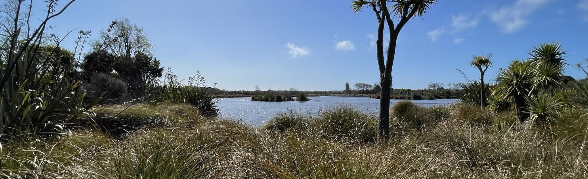 Travis Wetland Walkway, Canterbury, New Zealand - 129 Reviews, Map ...