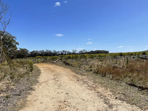 Best Hikes and Trails in Penrose State Forest | AllTrails