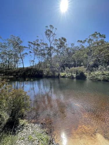 Best Hikes and Trails in Penrose State Forest | AllTrails
