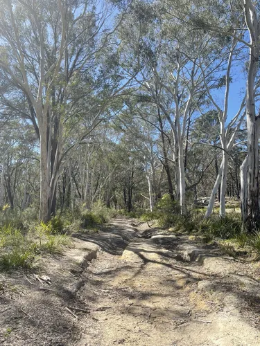 Best Hikes and Trails in Penrose State Forest | AllTrails