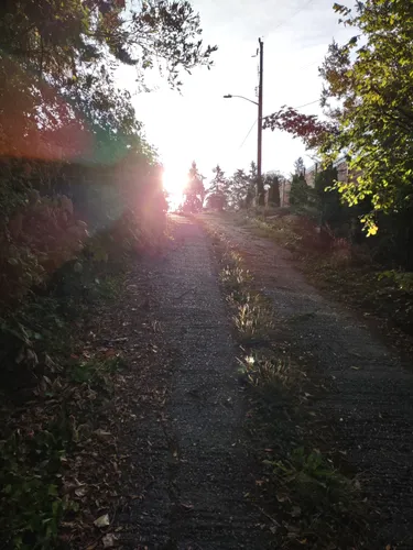 Best Hikes and Trails in Salmon Creek Ravine Park | AllTrails