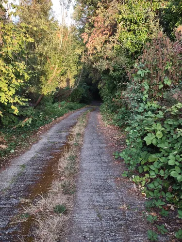 Best Hikes and Trails in Salmon Creek Ravine Park | AllTrails