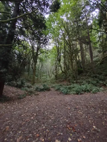 Best Hikes and Trails in Salmon Creek Ravine Park | AllTrails