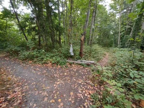 Best Hikes and Trails in Salmon Creek Ravine Park | AllTrails