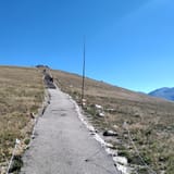 Alpine Ridge Trail, Colorado - 1,024 Reviews, Map | AllTrails