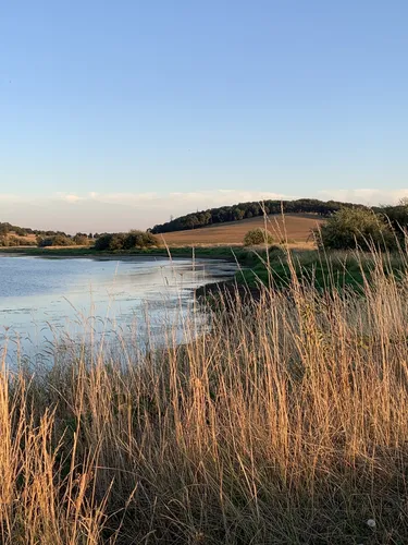 Best Hikes and Trails in Baskett Slough National Wildlife Refuge ...