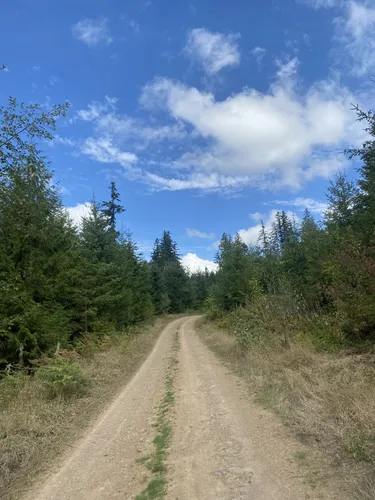 10 Best Trails and Hikes in Monroe | AllTrails