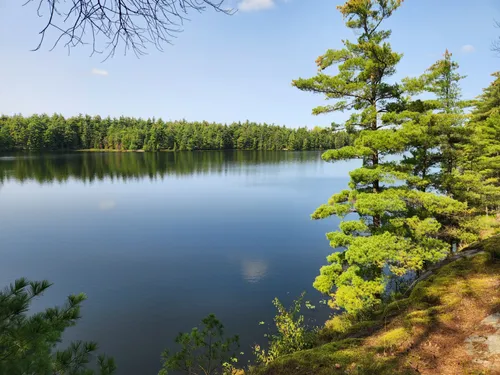 Wolf Lake State Forest: de beste routes om te wandelen | AllTrails