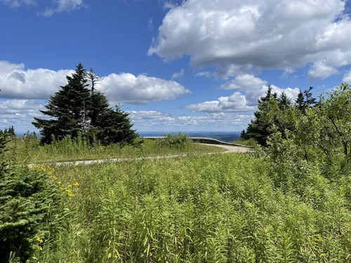 Best 10 Hikes and Trails in Mount Greylock State Reservation | AllTrails