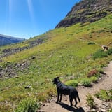 Devil's Causeway, Colorado - 570 Reviews, Map | AllTrails