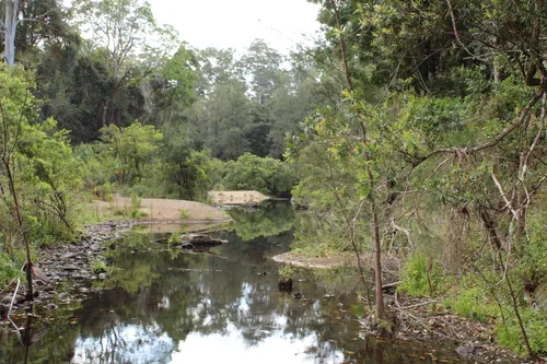 Best Hikes and Trails in Imbil State Forest 1 | AllTrails