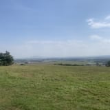 Lyth Hill Circular, Shropshire, England - 122 Reviews, Map | AllTrails