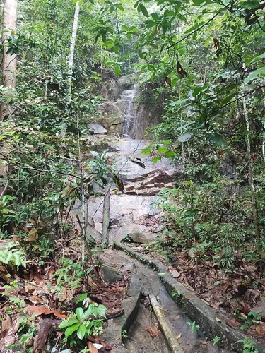 2023 Best 10 Waterfall Trails in Gunung Pulai Recreational Forest ...