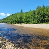 Saco River Trail, New Hampshire - 510 Reviews, Map | AllTrails