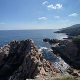 White Point Lookout, Nova Scotia, Canada - 479 Reviews, Map | AllTrails