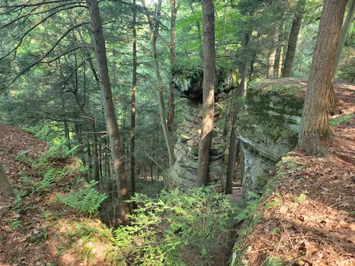 10 Best Hikes and Trails in Hocking State Forest | AllTrails