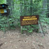 Fawn Lake Trail, New York - 274 Reviews, Map | AllTrails