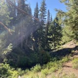 Jennie Lake Trail, Idaho - 246 Reviews, Map | AllTrails