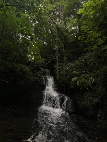 Best Hikes and Trails in Dams to Darnley Country Park | AllTrails