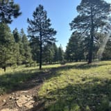 Campbell Mesa Loop, Arizona - 1,204 Reviews, Map | AllTrails