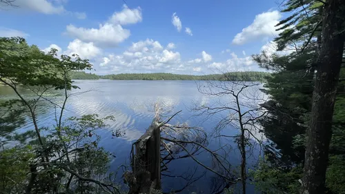 Best Hikes and Trails in Massasoit State Park | AllTrails