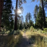Fallen Leaf Lake via Sand Harbor Trail, California - 365 Reviews, Map ...