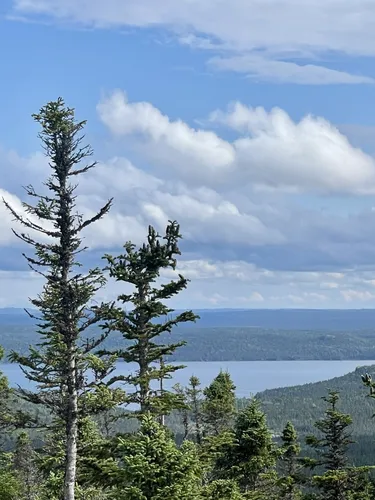 Best Views Trails in Musgravetown | AllTrails