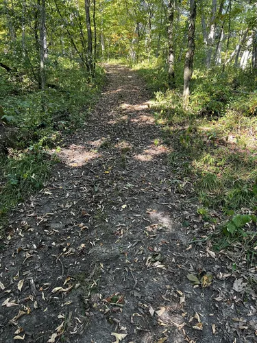 Best Hikes and Trails in Stephens State Forest - Woodburn Unit | AllTrails