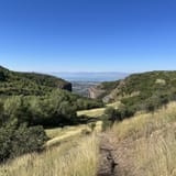 Dry Canyon Trail, Utah - 596 Reviews, Map | AllTrails