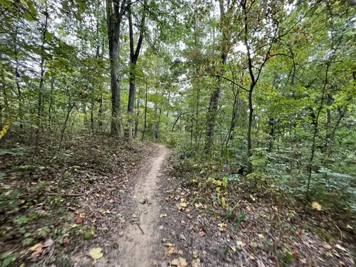 Best 10 Hikes and Trails in Bailey's Trail System | AllTrails