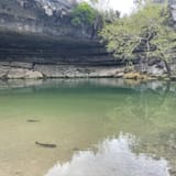 Hamilton Pool Park Trail, Texas - 379 Reviews, Map | AllTrails