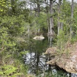 Hamilton Pool Park Trail, Texas - 379 Reviews, Map | AllTrails